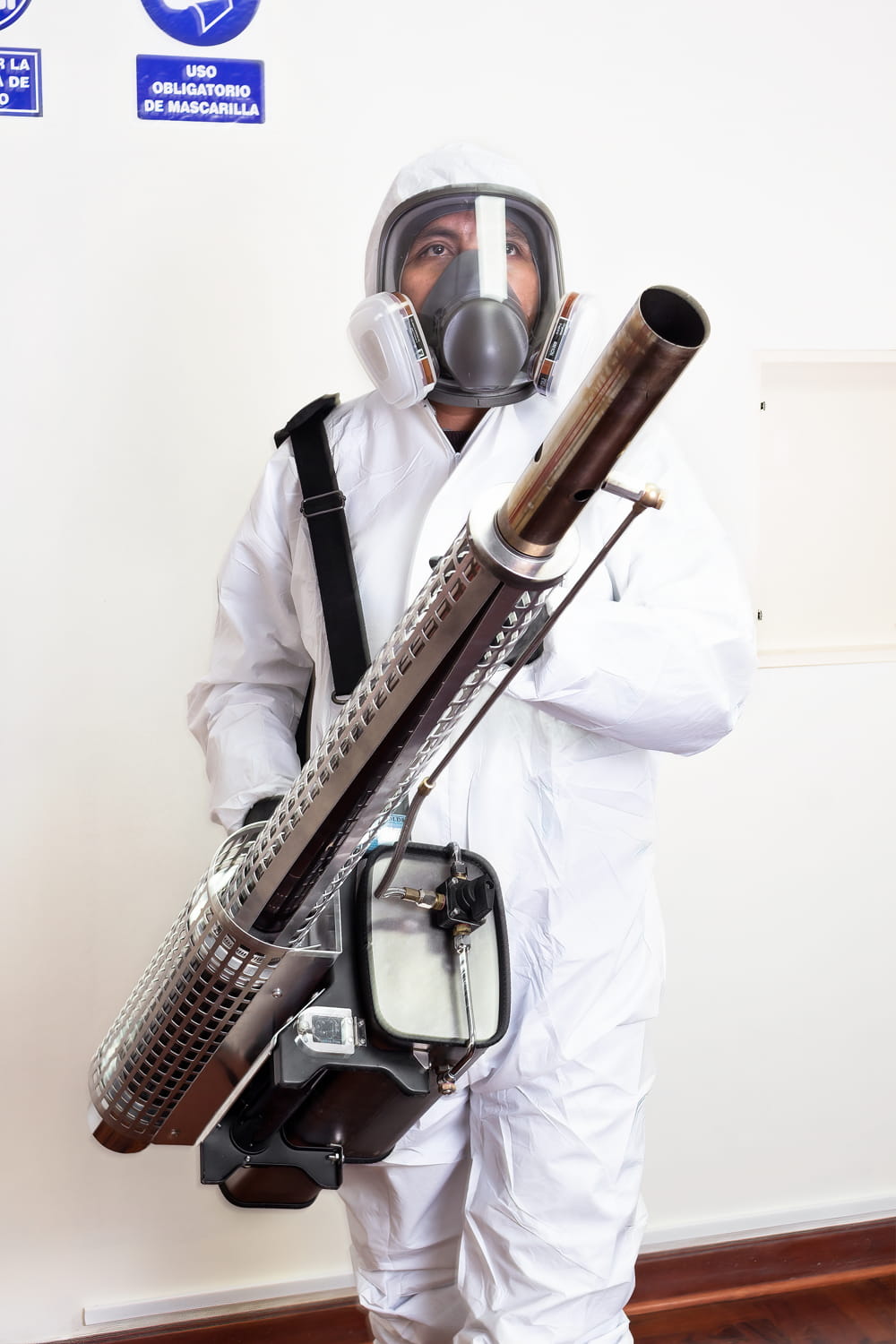 Conoce los tipos de plaga que se exterminan en la fumigación - Global ...